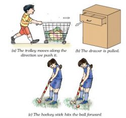 What is a push and pull Force? | Study Assistant