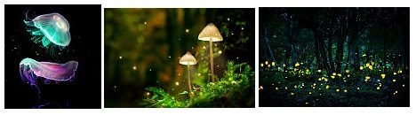 Types of Energy and its Usefulness - Study Assistant