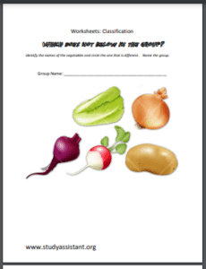 Sorting and Classifying - Study Assistant