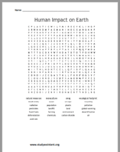The three cycles of the Ecosystem - Study Assistant