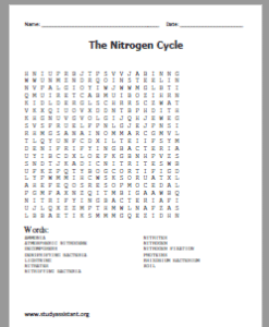 The three cycles of the Ecosystem - Study Assistant
