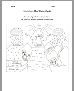 The three cycles of the Ecosystem - Study Assistant