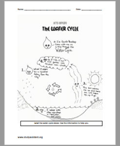 The three cycles of the Ecosystem - Study Assistant
